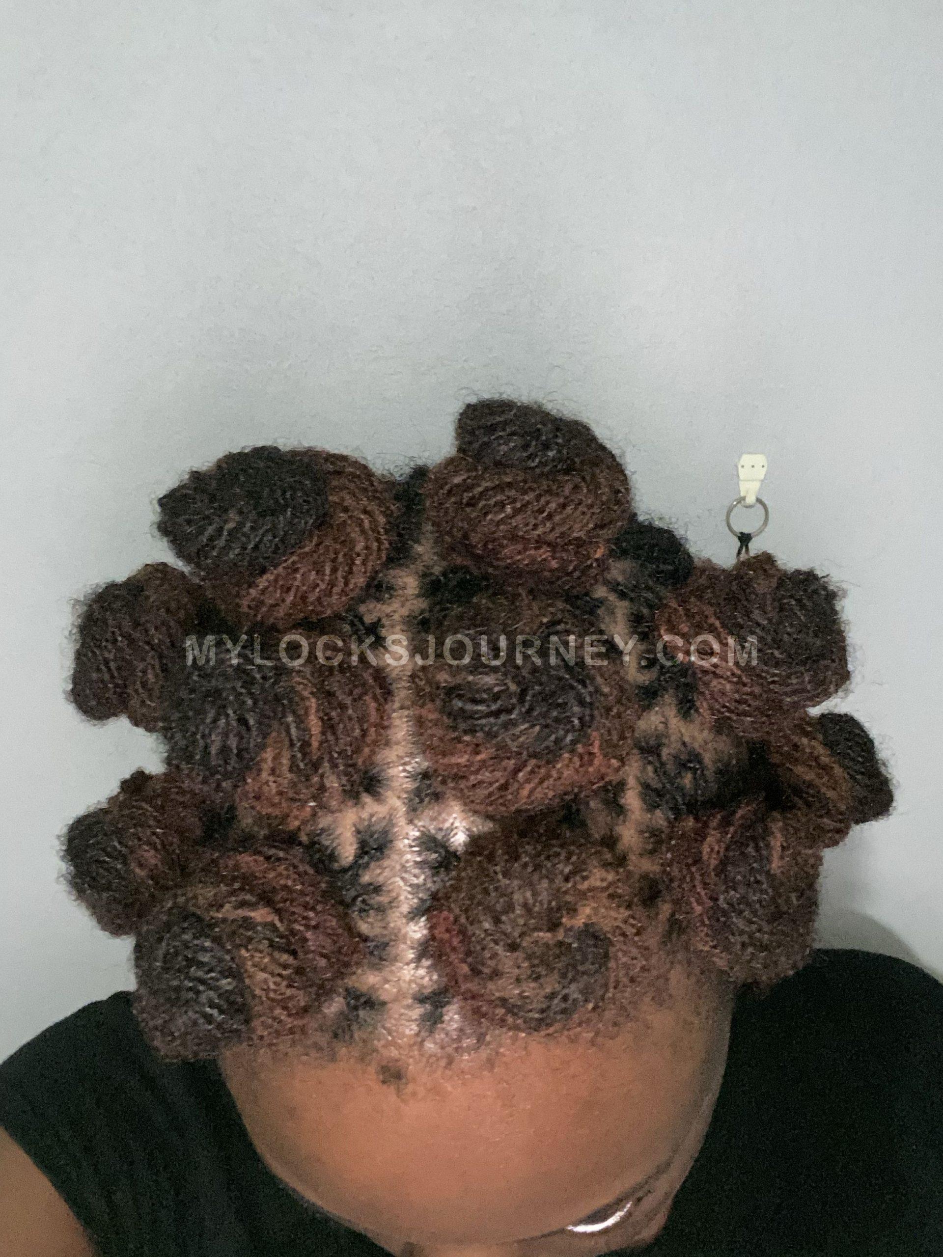 5 easy ways to curl your locs - My Locks Journey
